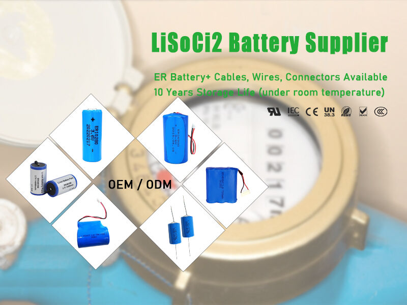 Li-SoCI2 baterija tipkovog ćelija | profesionalna usluga prilagodbe proizvoda | Cowon